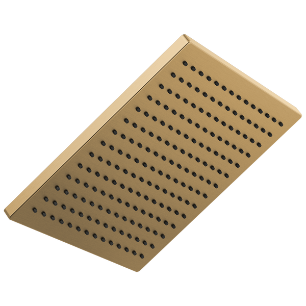 Single-Setting Metal Rain can Shower Head – Regen